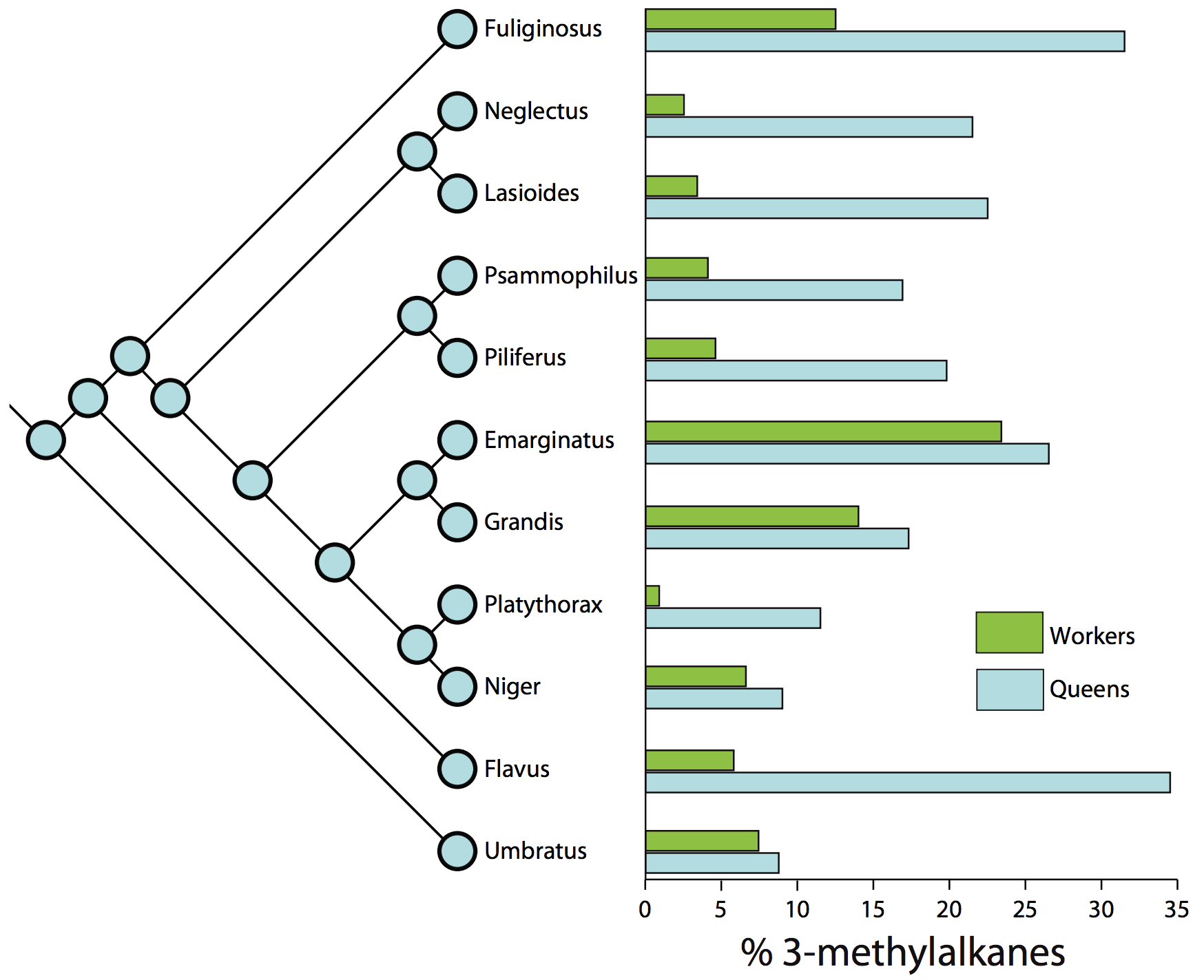 The evolution of queen pheromones in the ant genus Lasius | Luke Holman