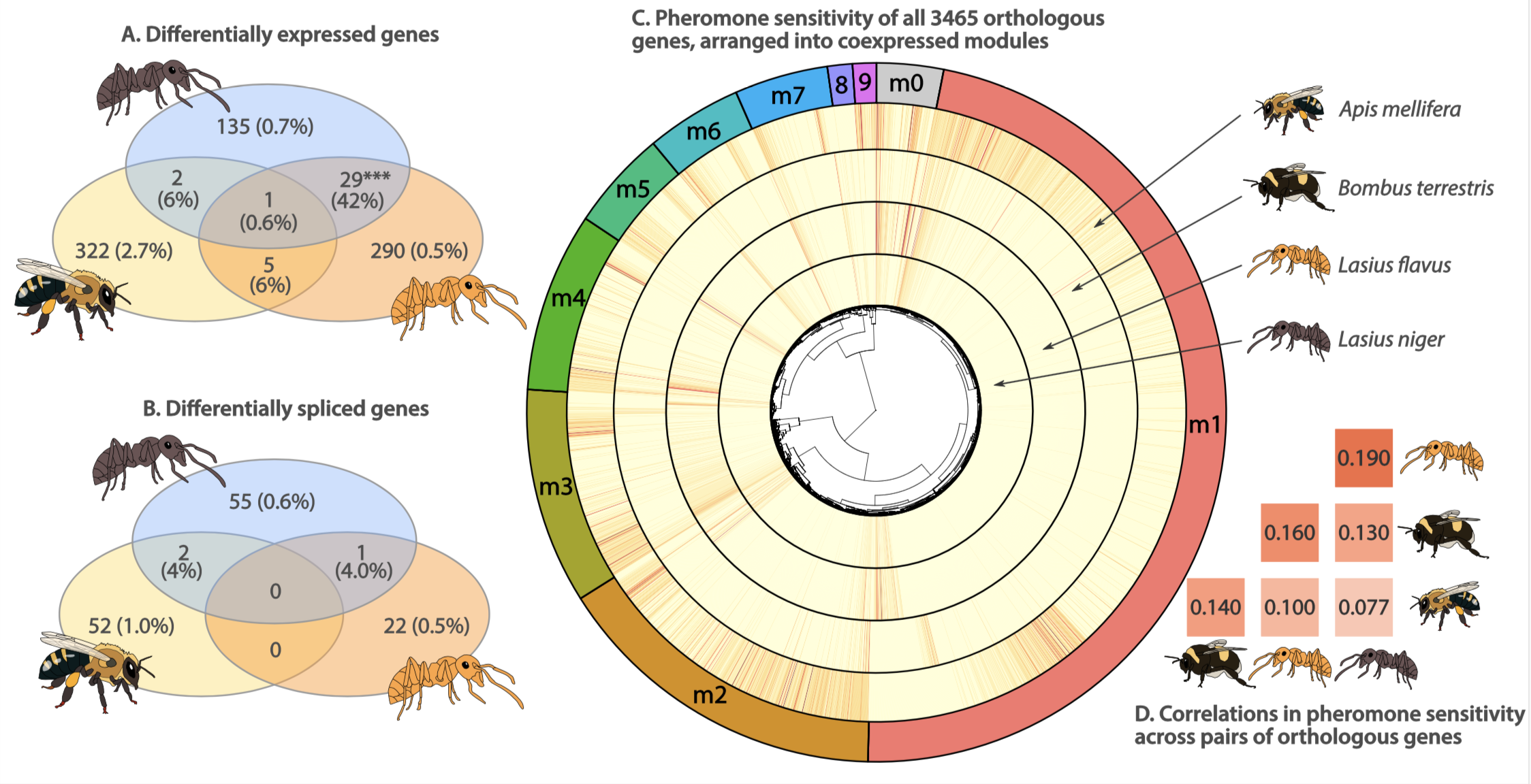 Comparative transcriptomics of social insect queen pheromones | Luke Holman